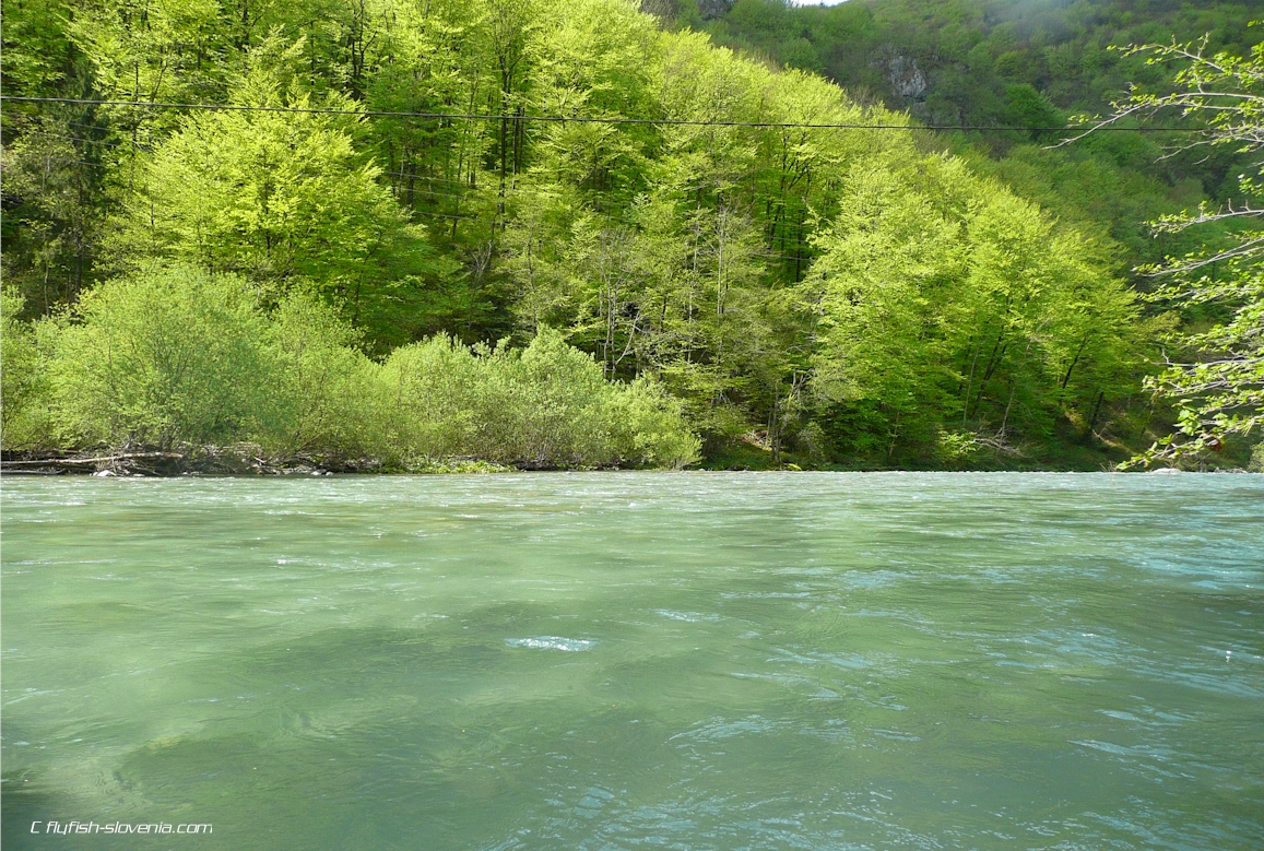 Idrijca | Muškaření ve Slovinsku | CzechNymph.com