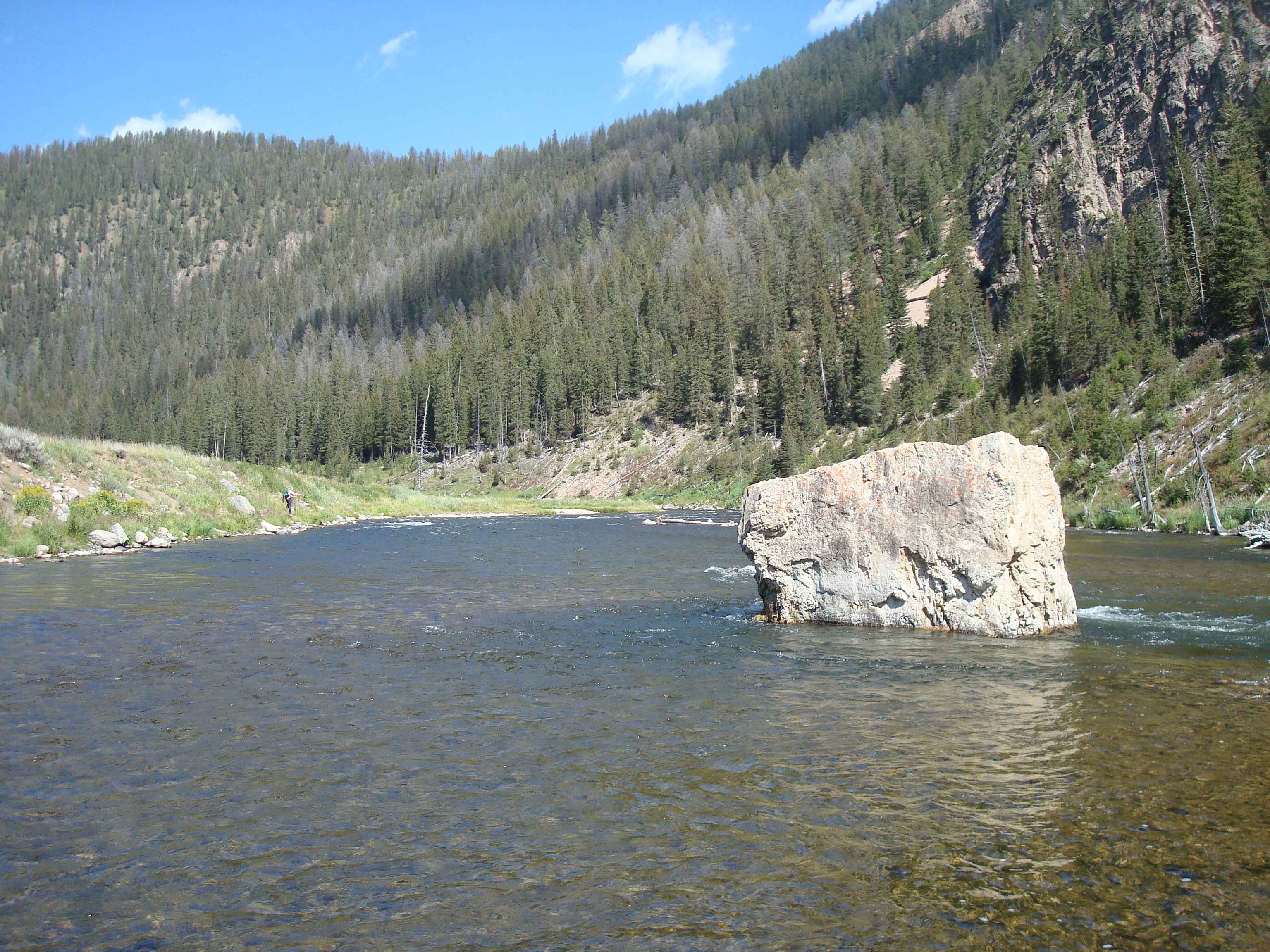 Madison River: Montana, Yellowstone National Park | CzechNymph.cz
