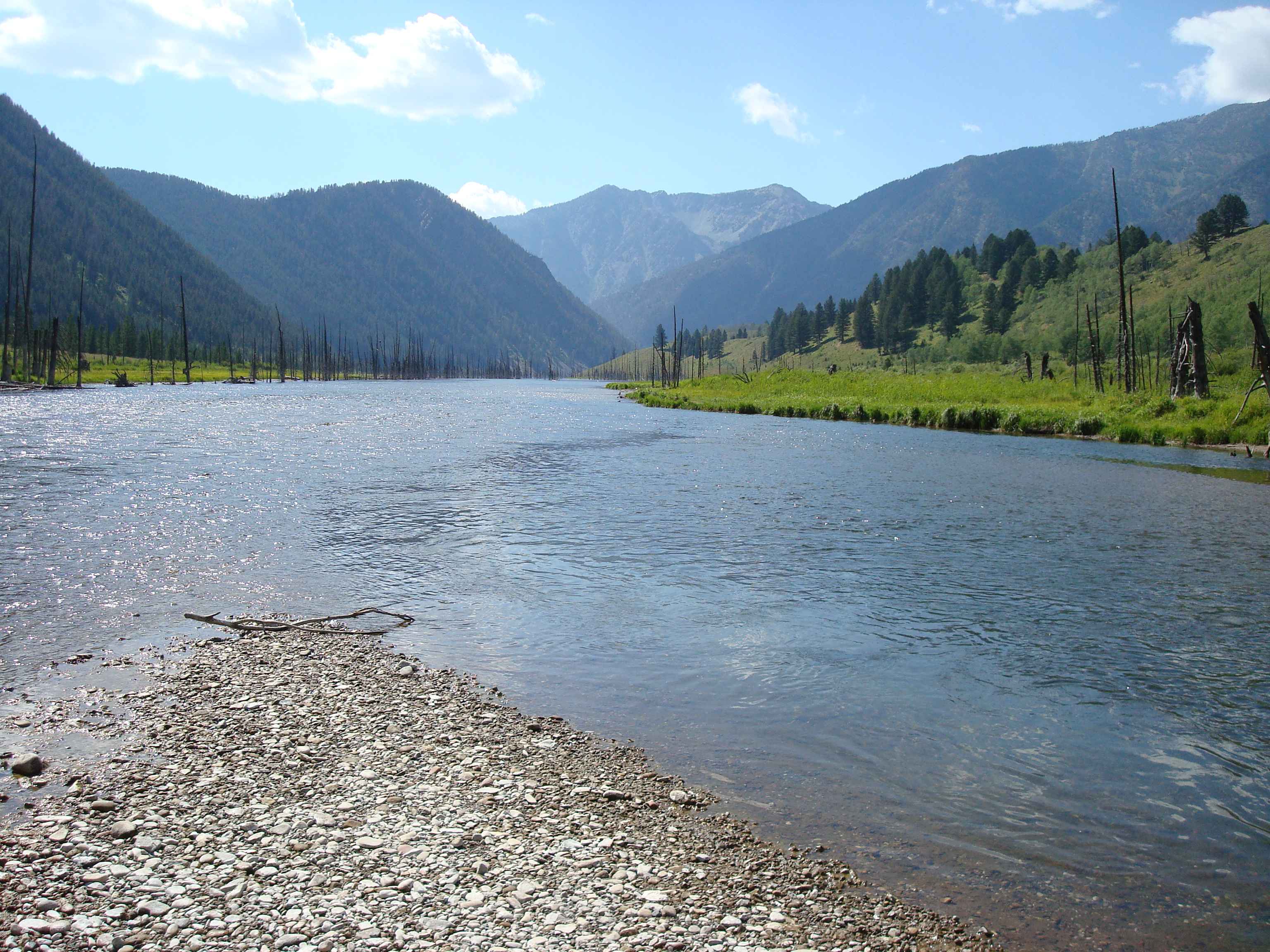 Madison River: Montana, Yellowstone National Park | CzechNymph.cz